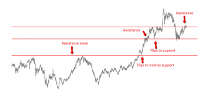 Trade Forex Like a Sniper and Start Trading From Kill Zones
