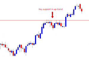 Support and Resistance: The Ultimate Guide to Price Action Charts
