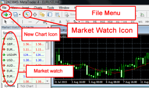 Beginner's Guide to MetaTrader 4 (MT4)