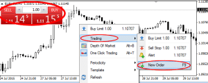 Beginner's Guide to MetaTrader 4 (MT4)