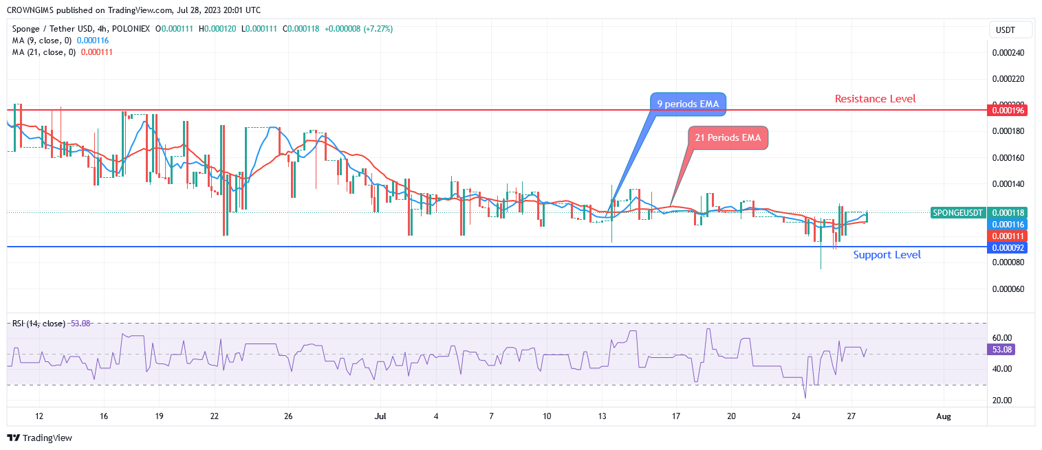 Sponge (SPONGEUSDT) Price Is Lowered to Draw in More Customers